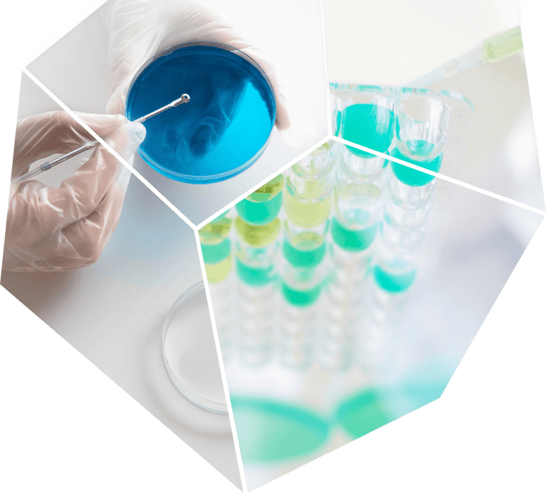 IBSA Foundation - The new Fellowship 2025 call is now open.