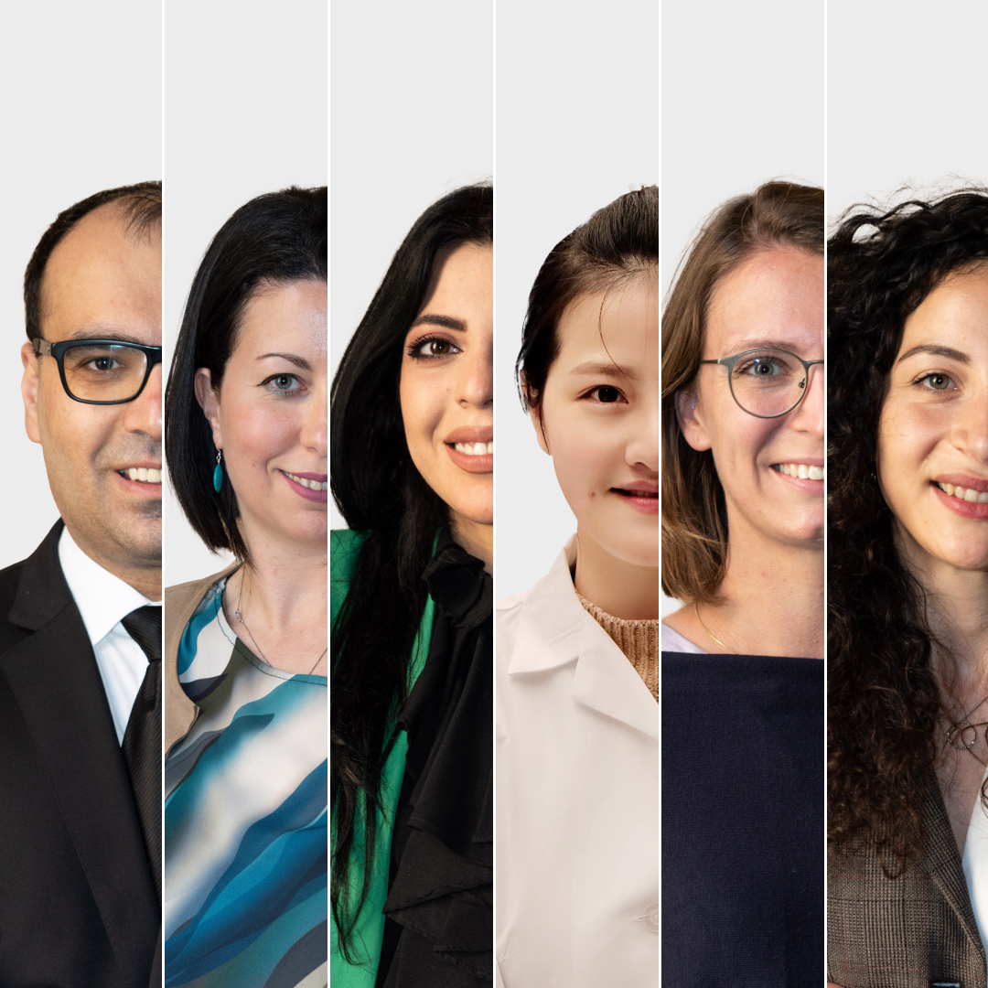 IBSA Foundation - Fellowships