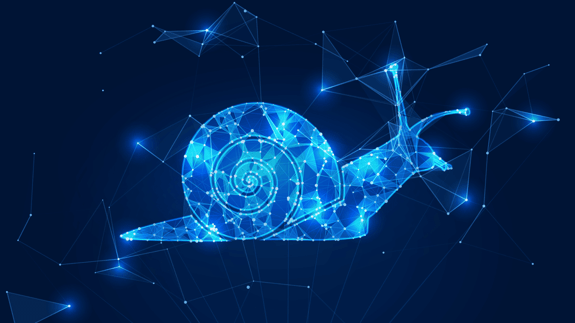 A new snail-inspired robot