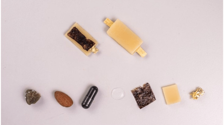 A new frontier in edible electronics: batteries you can eat