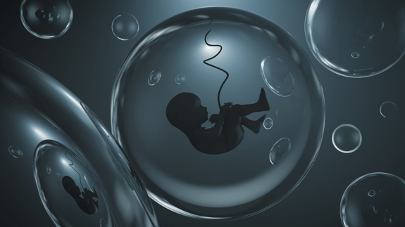 Premature infants: the artificial placenta offers new horizons