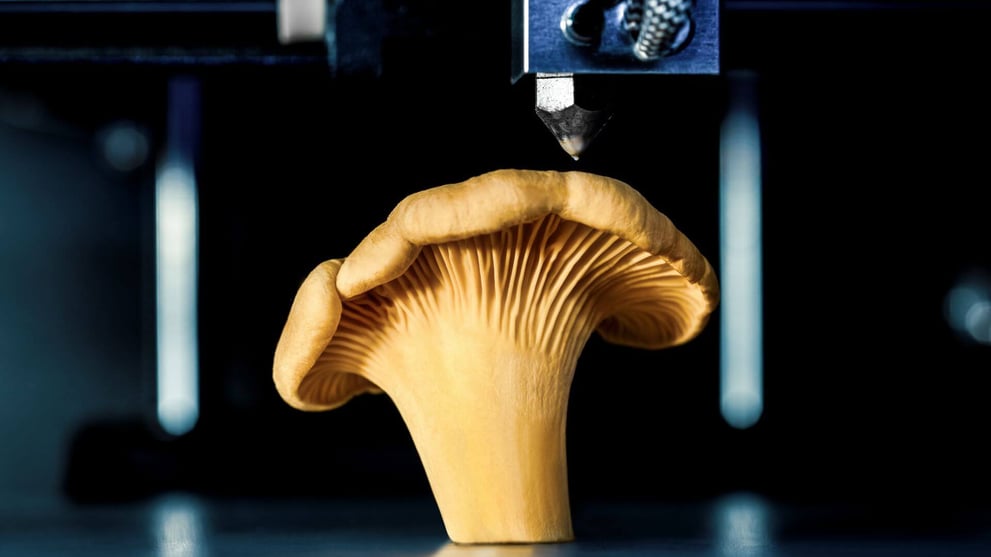 A 3D printer to create food from waste and insect ingredients